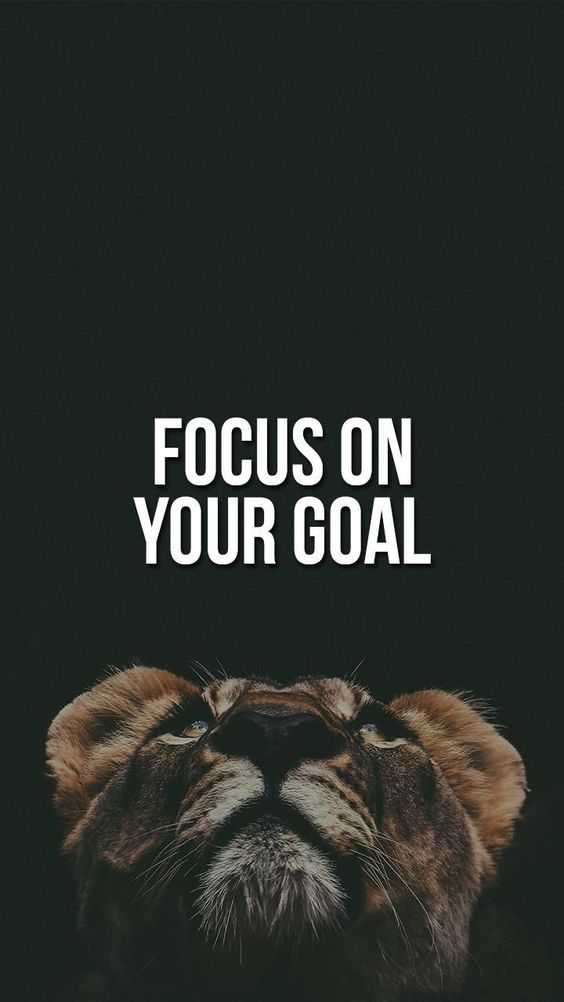 How To Focus